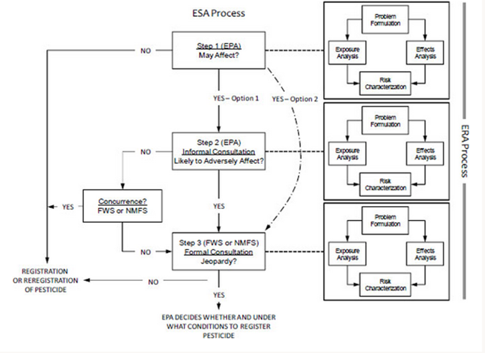 Assessing risk to endangered species – EnTox Simplified
