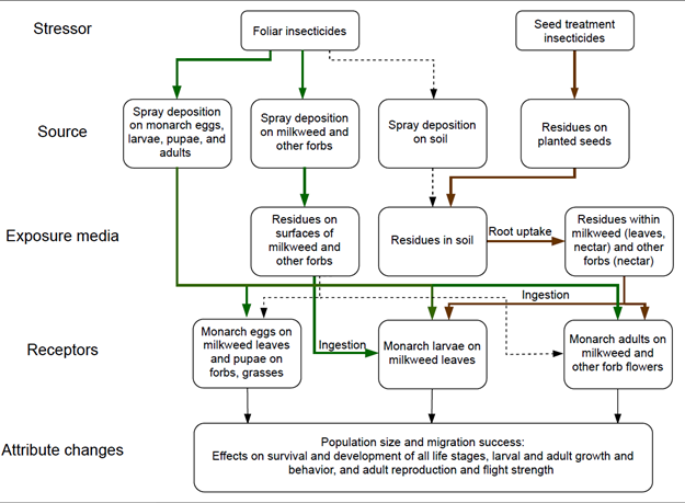 Designing good ecotoxicology studies – EnTox Simplified
